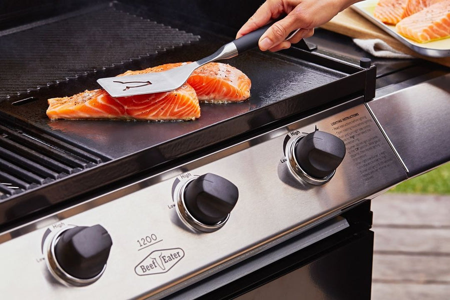 Leading gas and charcoal barbecue store in price and quality – Barbacoa.es